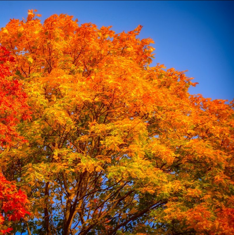 学点科学做做科普- 