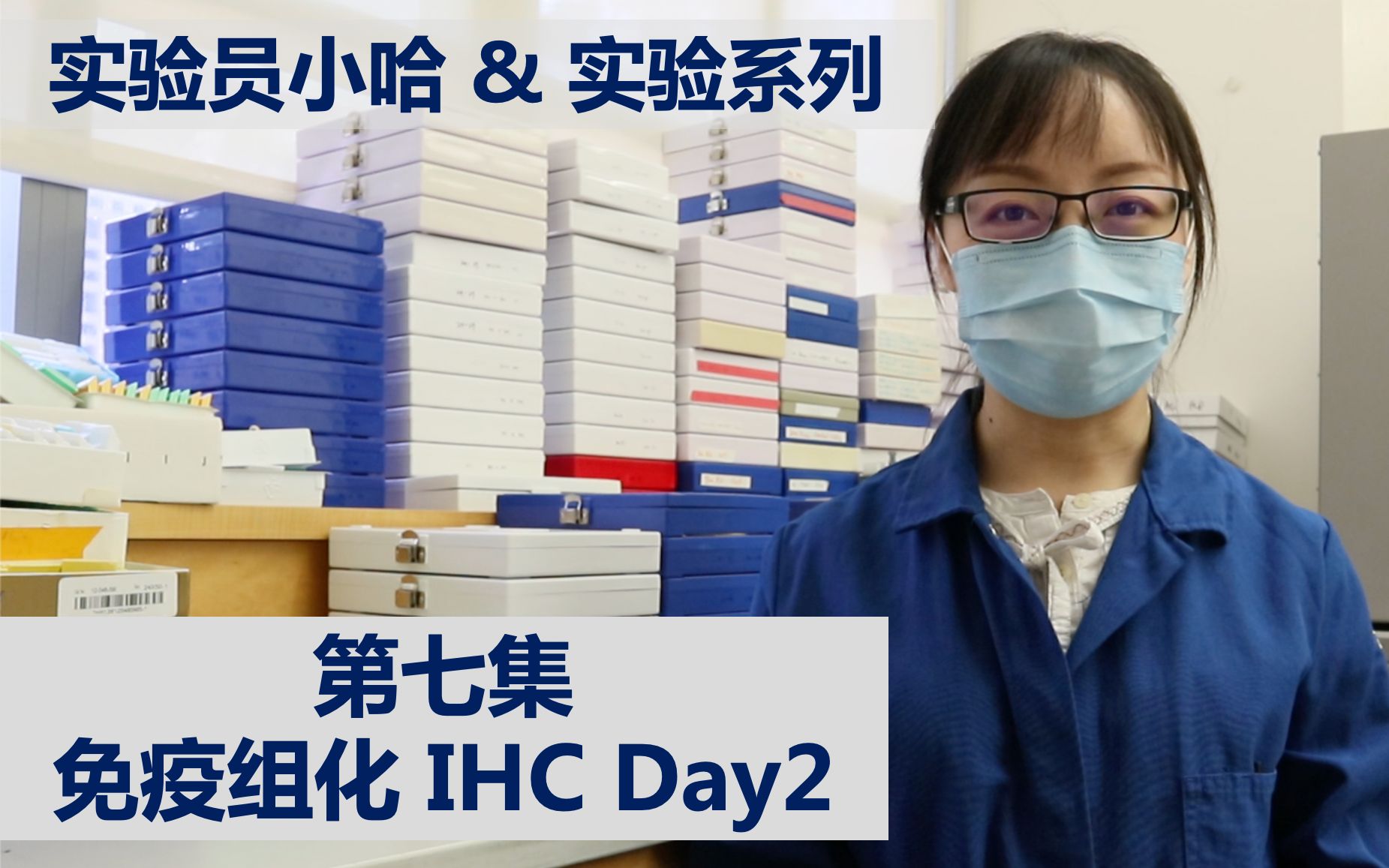 实验员小哈实验系列 - 第七集 - 免疫组化IHC Day-2