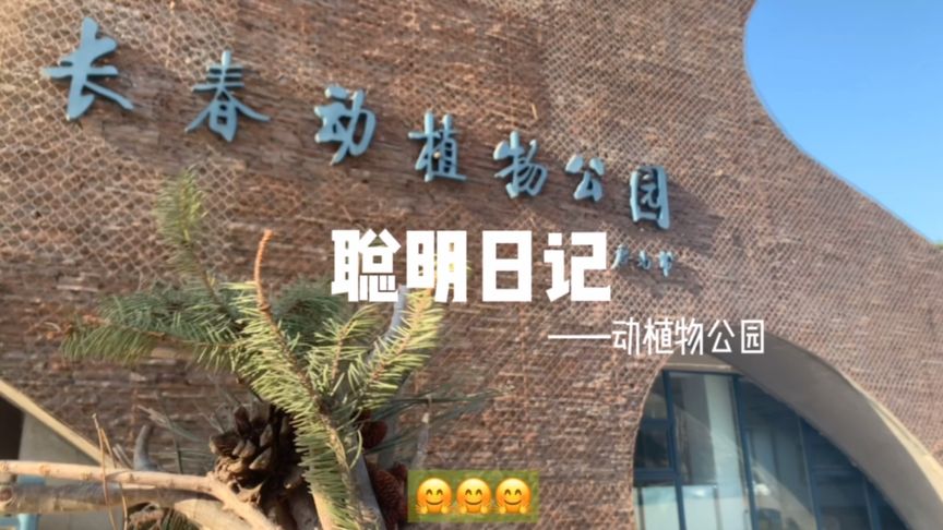 Vlog | 宿舍生活记录 | 动植物公园