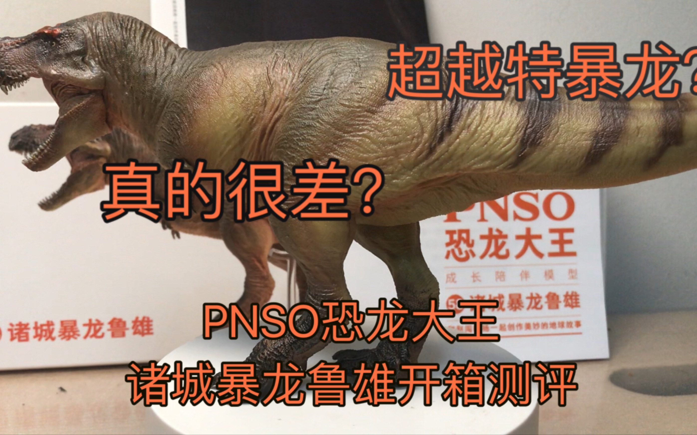 齐鲁雄风!PNSO恐龙大王成长陪伴模型诸城暴龙鲁雄开箱测评