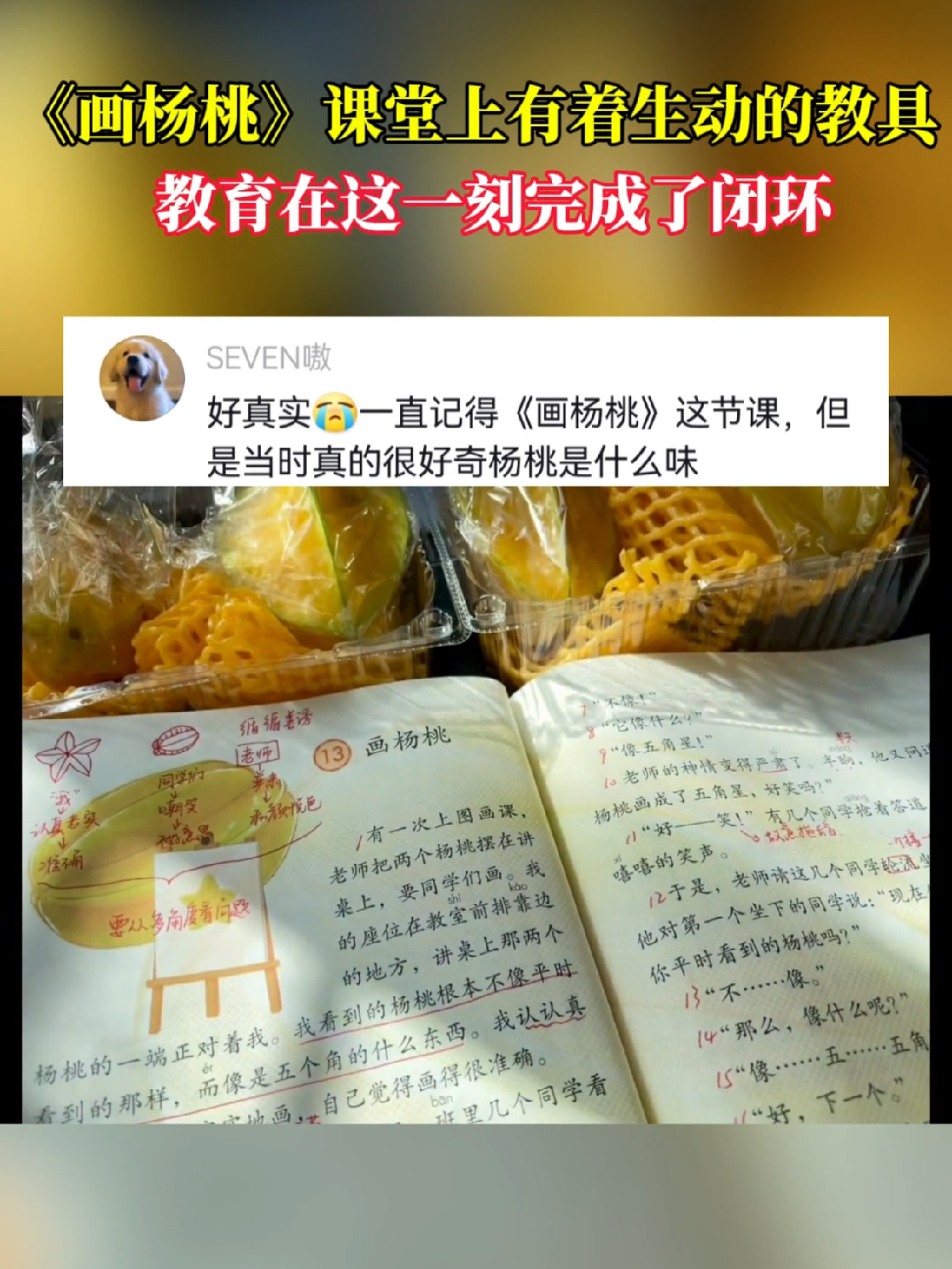 画杨桃》课堂上有着生动的教具,教育在这一刻完成了闭环