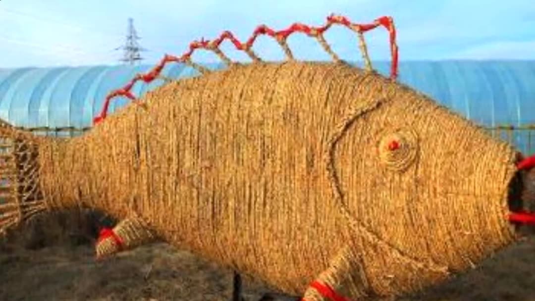 辽宁稻田现“稻草人”雕塑 造型似广场舞