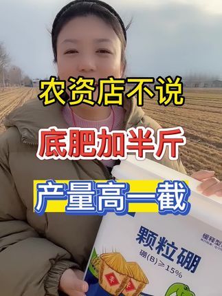 农资店老板不会告诉你,底肥加半斤颗粒硼