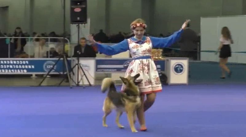 这个视频要爆,狗狗和主人一起跳舞,精彩的表演逗乐了全场的观众