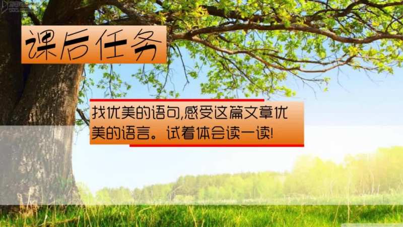 匆匆微课视频