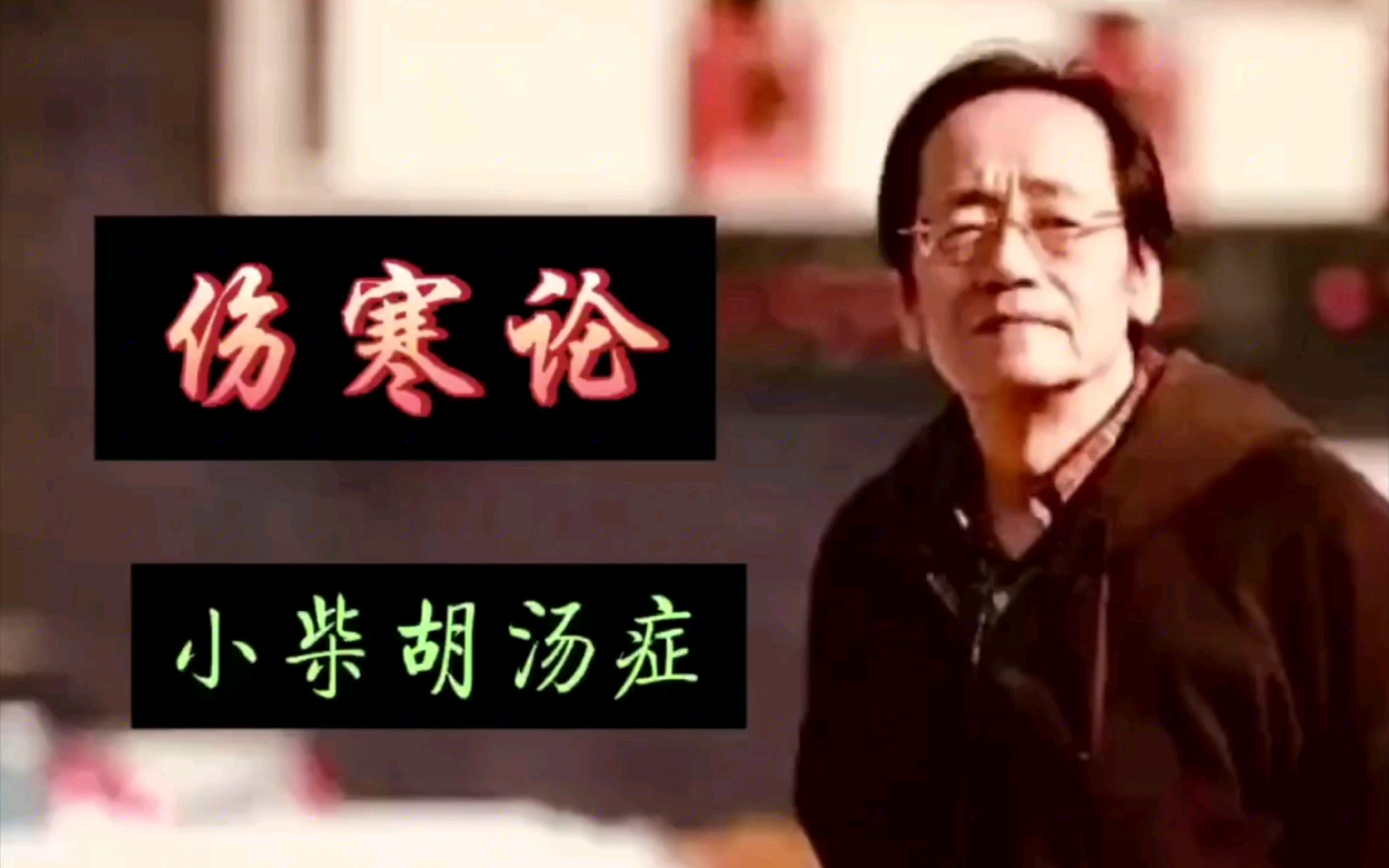 倪海厦老师讲《伤寒论》小柴胡汤