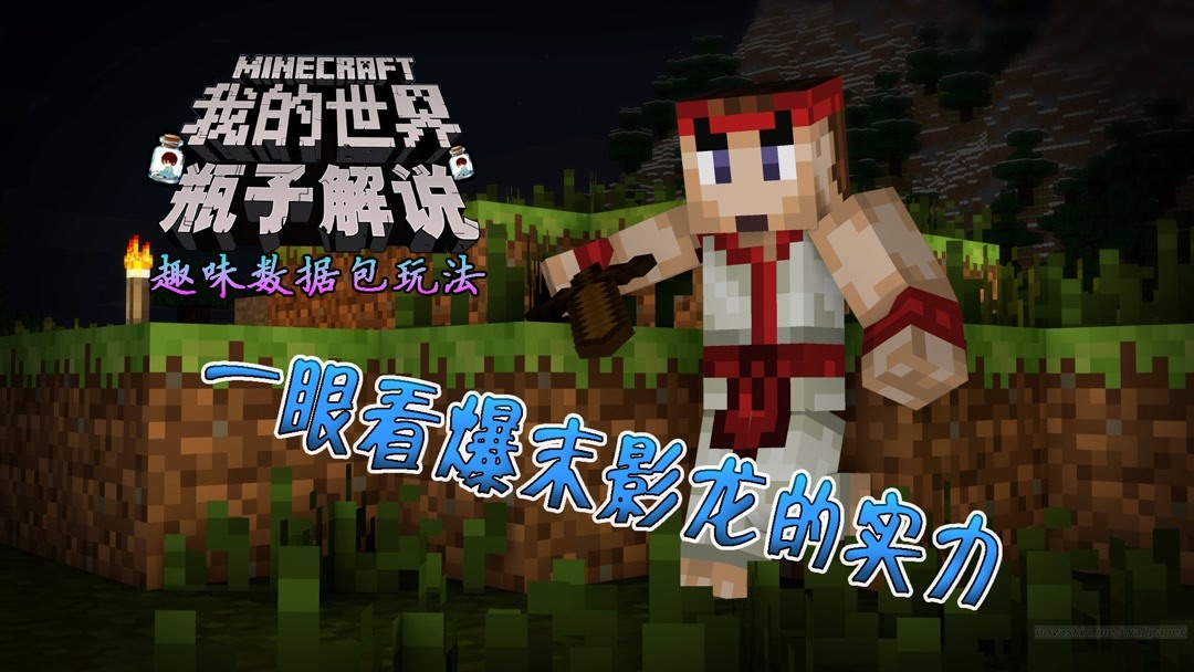 只用看一眼就知有没有 瓶子解说 趣味数据包玩法