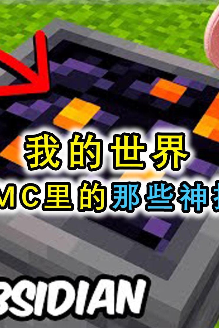 我的世界:当MC大神测试神操作真假?将骷髅埋进雪里变成流浪者
