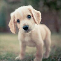 好啊waiting_for_you 