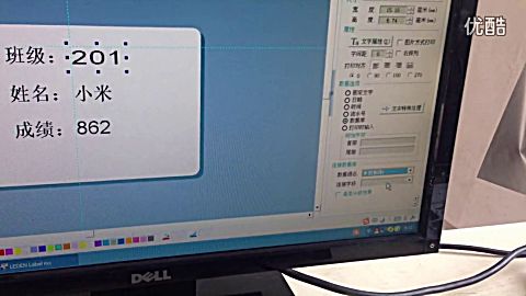 中岛雷丹(LEDEN)条码打印机数据库打印
