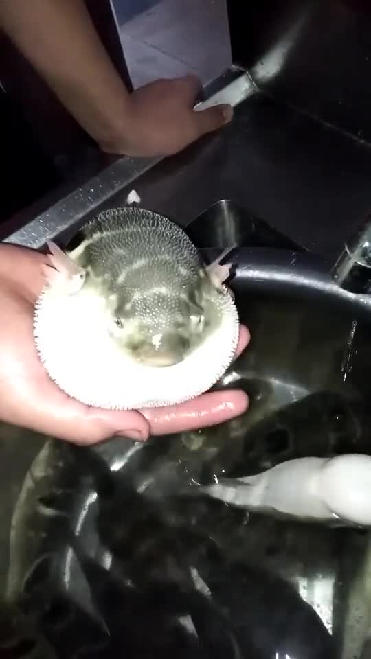 挠痒痒