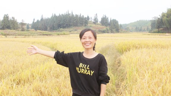 如此美丽的稻田很多人第一次见,南方的秋天真的太美了,你见过吗