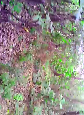 李园硕 园硕 硕硕C