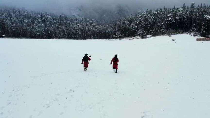 做一下年终总结吧…祝愿新的一年继续拍到好片子#2021年倒计时