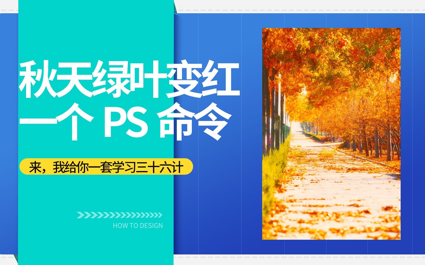 秋天来了,快速教你仅用一个PS命令秋天绿叶变金黄效果,简单好看