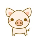 单小小小小小小车 