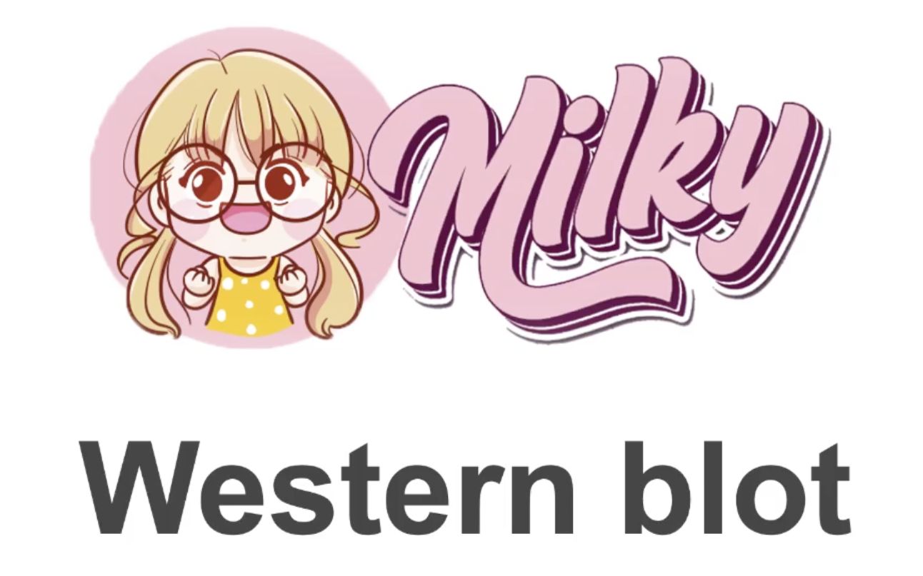 Western Blot实验原理及步骤