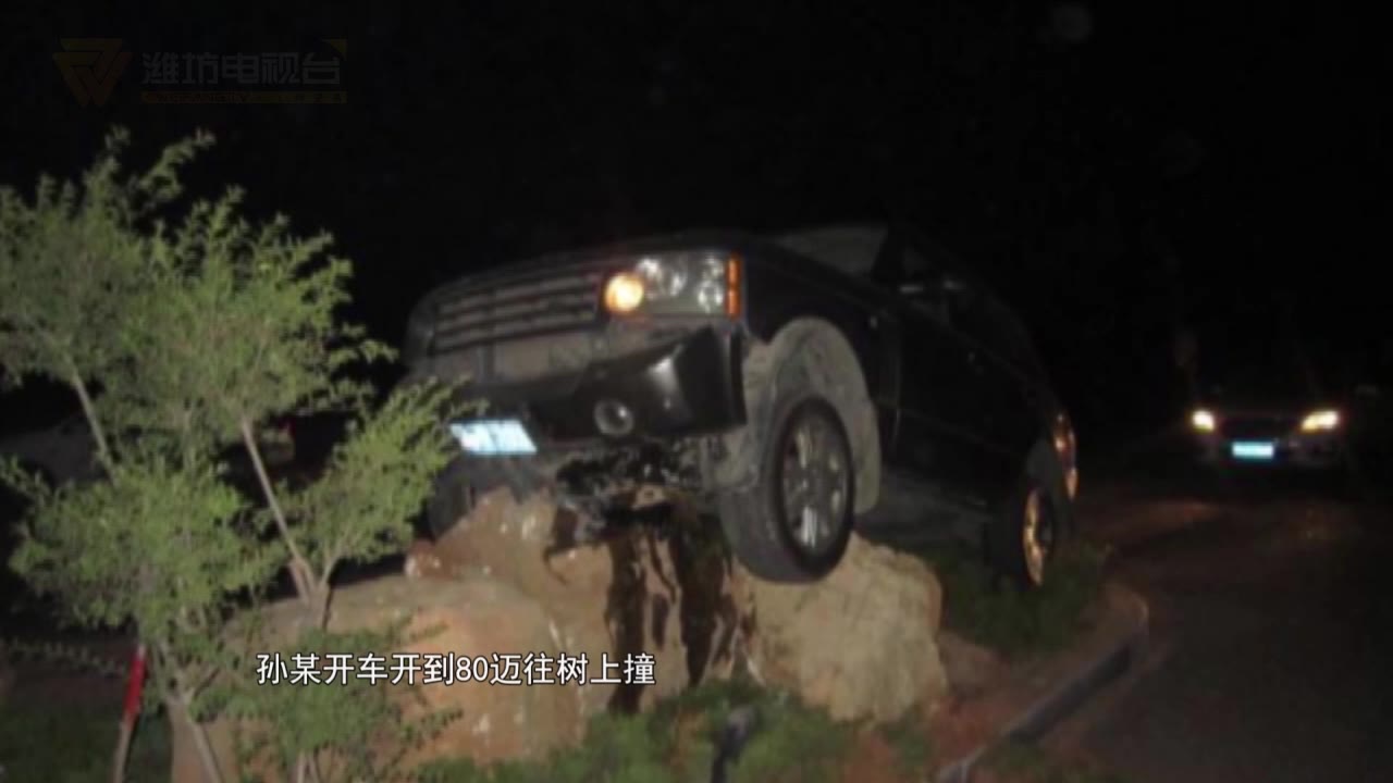 真敢撞!潍坊临朐某汽修厂伪造事故骗保3000万,共53人被警方执行强制...
