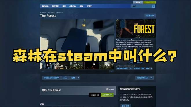 森林在steam中叫什么?