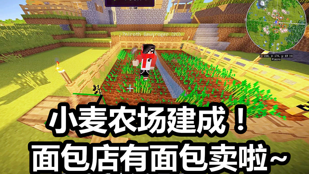我的世界04小麦农场.面包店【模拟城市+女仆】