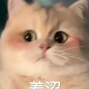 豆酥糖豆 