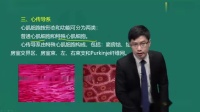...知识]基础医学知识-冲刺(人体解剖学)03讲 泌尿、男性生殖和脉管系统