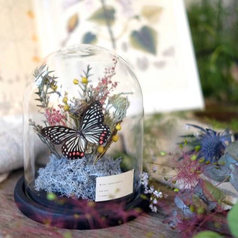 植物标本馆 