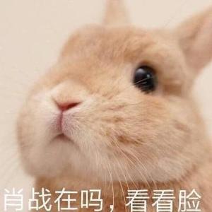 白茶清欢了无味 