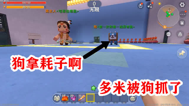 迷你世界老鼠模拟器:全家合力捉老鼠,多米是最笨老鼠被狗抓