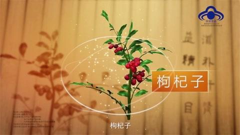 恒贞泰神曲牌黄精枸杞胶囊