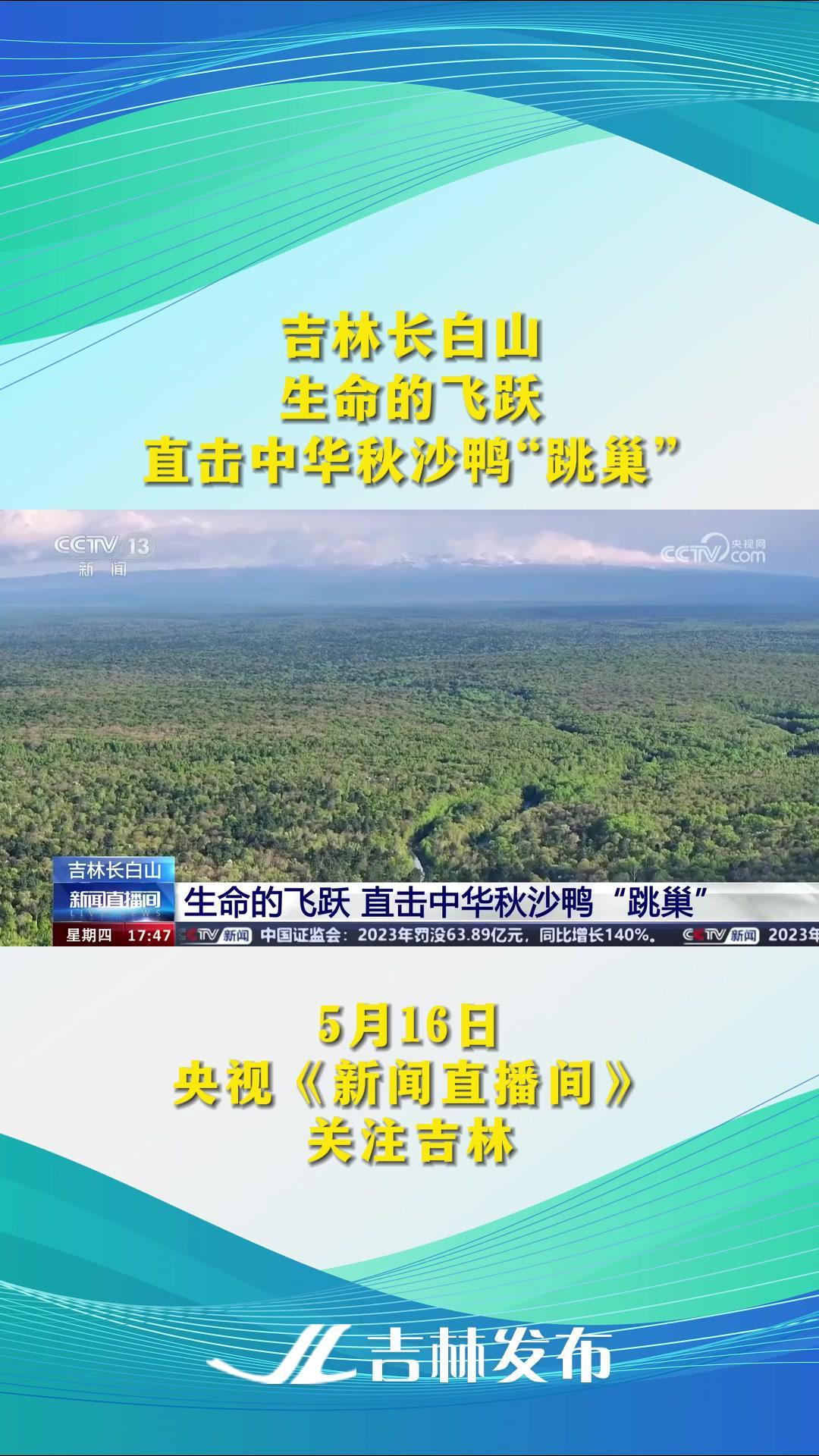5月16日,央视《新闻直播间》报道:吉林长白山生命的飞跃直击中华秋沙...