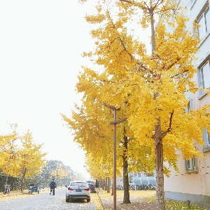 半夜三点醒过来学流体 