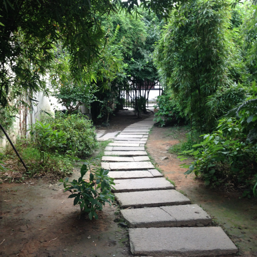 一片桃花渡迷途 