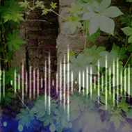 蒲公英伴君悦读 