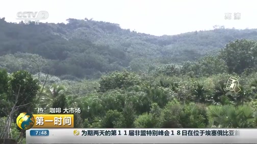 [第一时间]“热”咖啡 大市场 补贴种植 “嫁接”旅游 海南万宁打造...