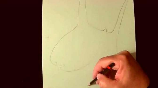 鲨鱼怎么画:简单易学,看两遍就学会了!