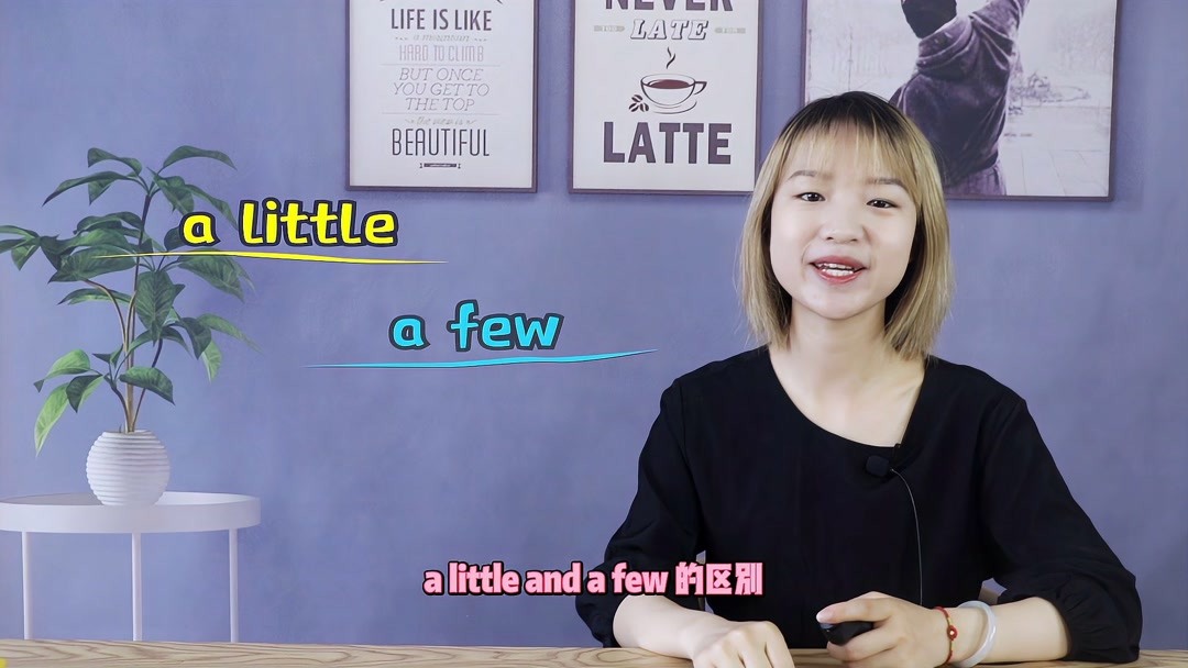 a little 和 a few的区别