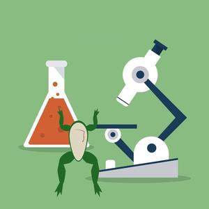 洋叔妙招实验室 