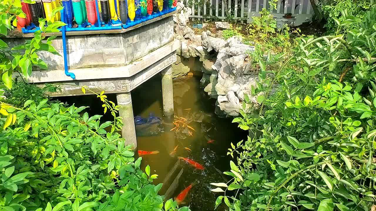.b>鱼池过滤的...