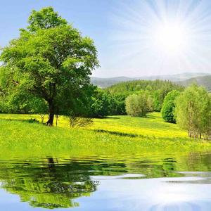 自然科学之威洛格 