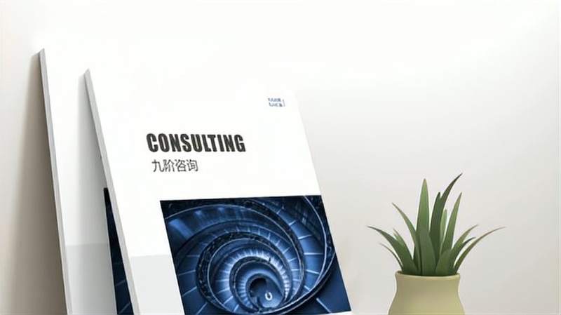 元化设计分享:咨询公司宣传画册设计