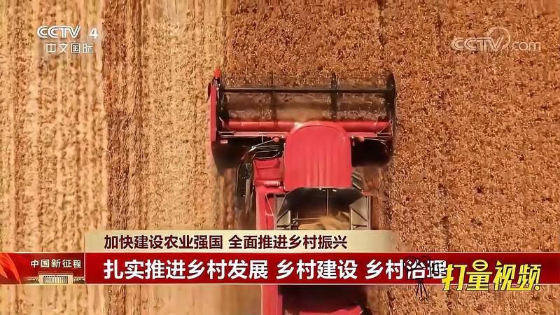 全面推进乡村振兴要扎实推进乡村发展、建设和治理丨中国新闻