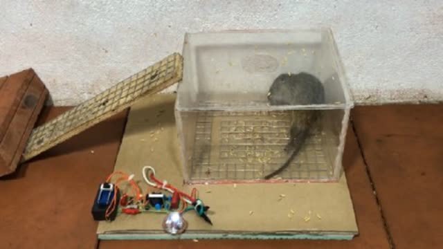 牛人制作12伏电动捕鼠器,老鼠只要钻进来跳两下就没有了!