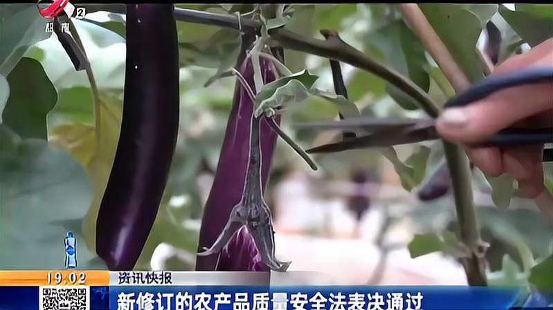新修订的农产品质量安全法表决通过