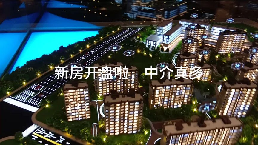 新房开盘啦,中介真不少啊