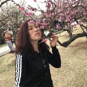 可乐猪XKJ 