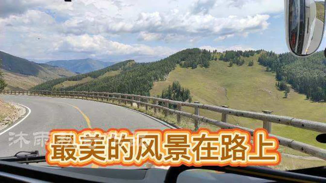 去往新疆禾木村的路上,阿尔泰山大草原,茂密的白桦林太美了!