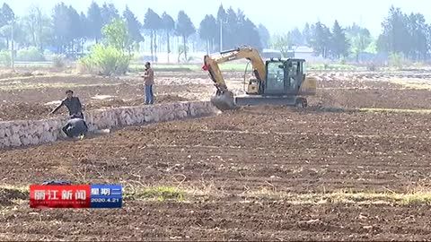 「丽江热线」古城区高标准农田建设项目有序推进