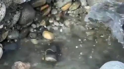 挖玉离不开水源,这是河南小哥跟老师傅学到的技巧,能不能成为土豪就...