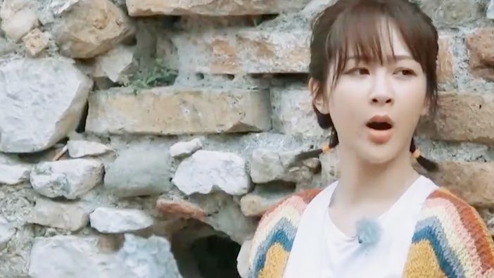 杨紫因电视剧积累大量黑粉,微博成立“丑紫”话题,粉丝心疼不已